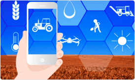 About TECHVED & Team - UX/UI Design Company In India